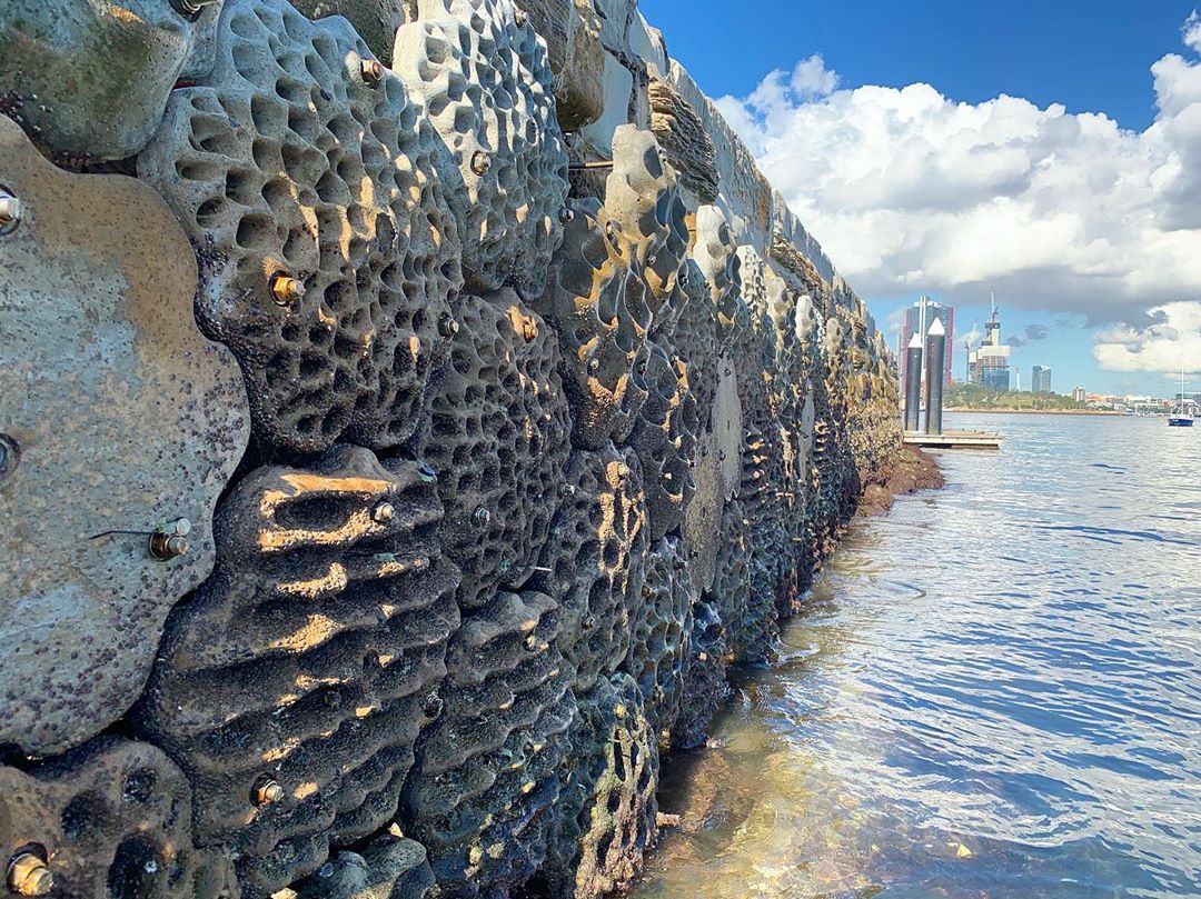 Green Seawalls in Sydney Harbour • Anston Architectural Products